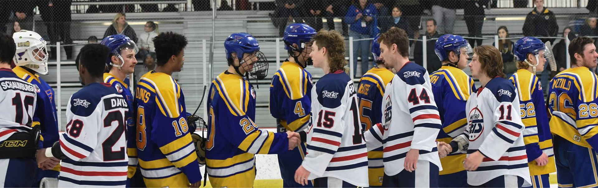 Programs - Metro Jets Hockey Club